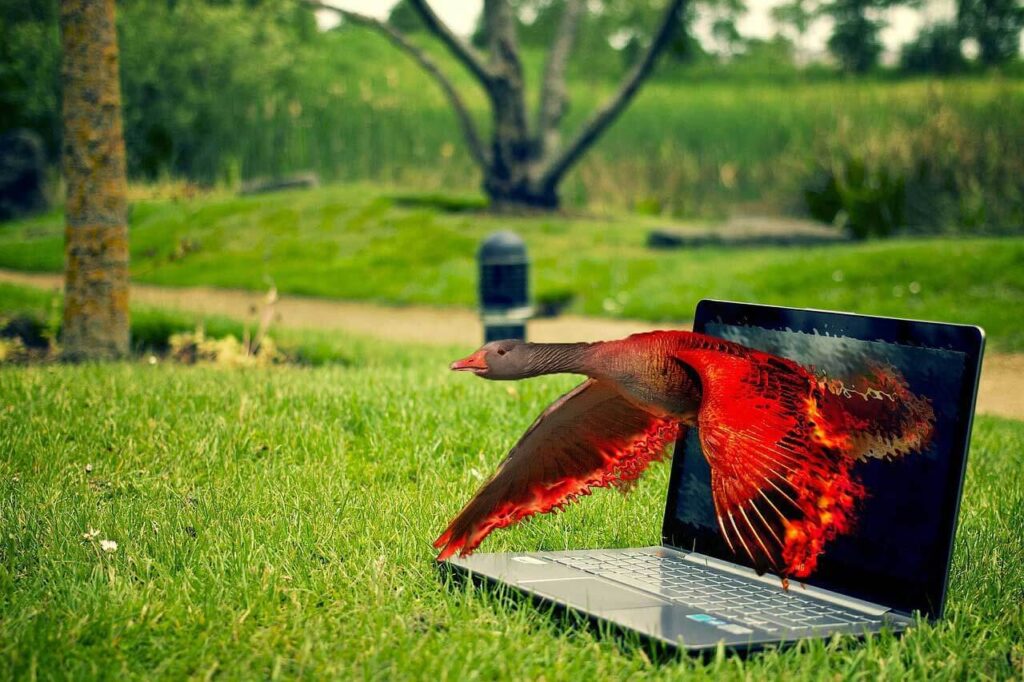 Common Photoshop mistakes photographers make (and how to avoid them ...