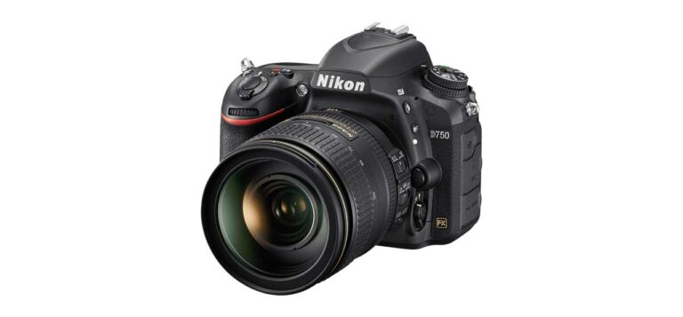 The best professional cameras for beginners and students – Camera Jabber