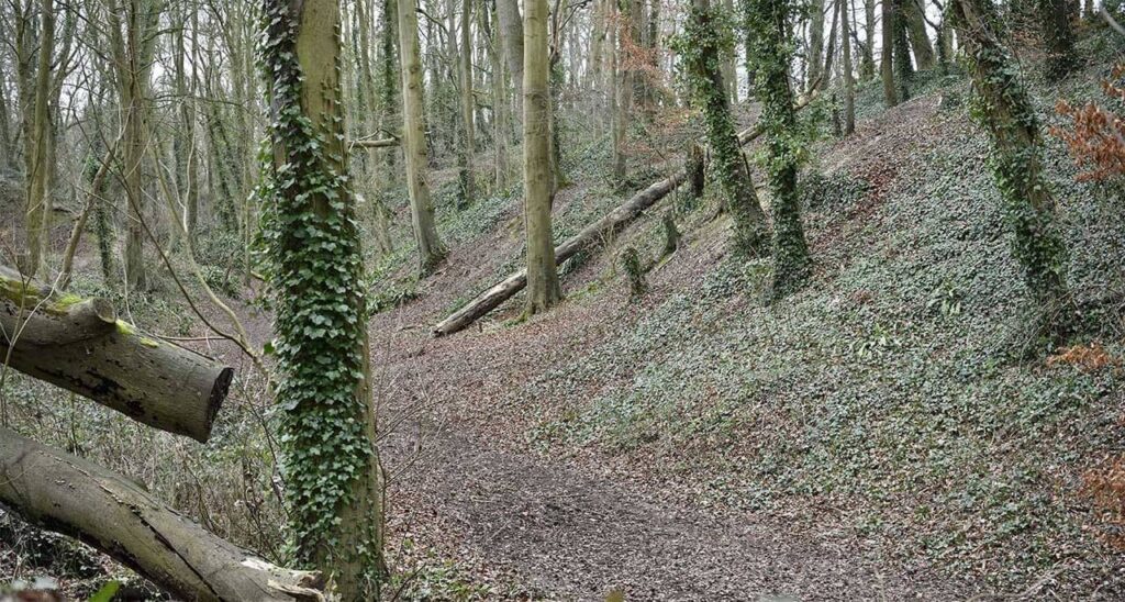 How to use Focus Shift on the Nikon D850 to shoot focus stacked images ...