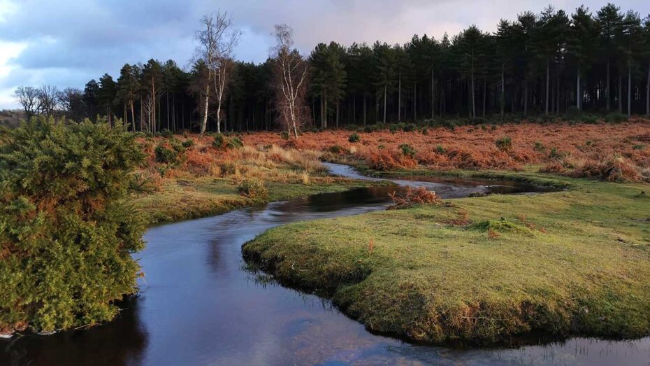 Go low - The art of low-level photography - Camera Jabber