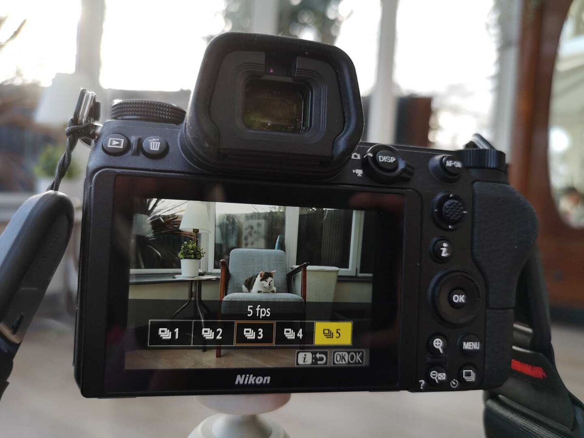 Continuous shooting mode: how to set up burst shooting on your camera ...