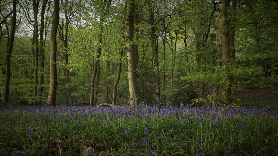 Sample photos with camera settings for every scenario – Camera Jabber