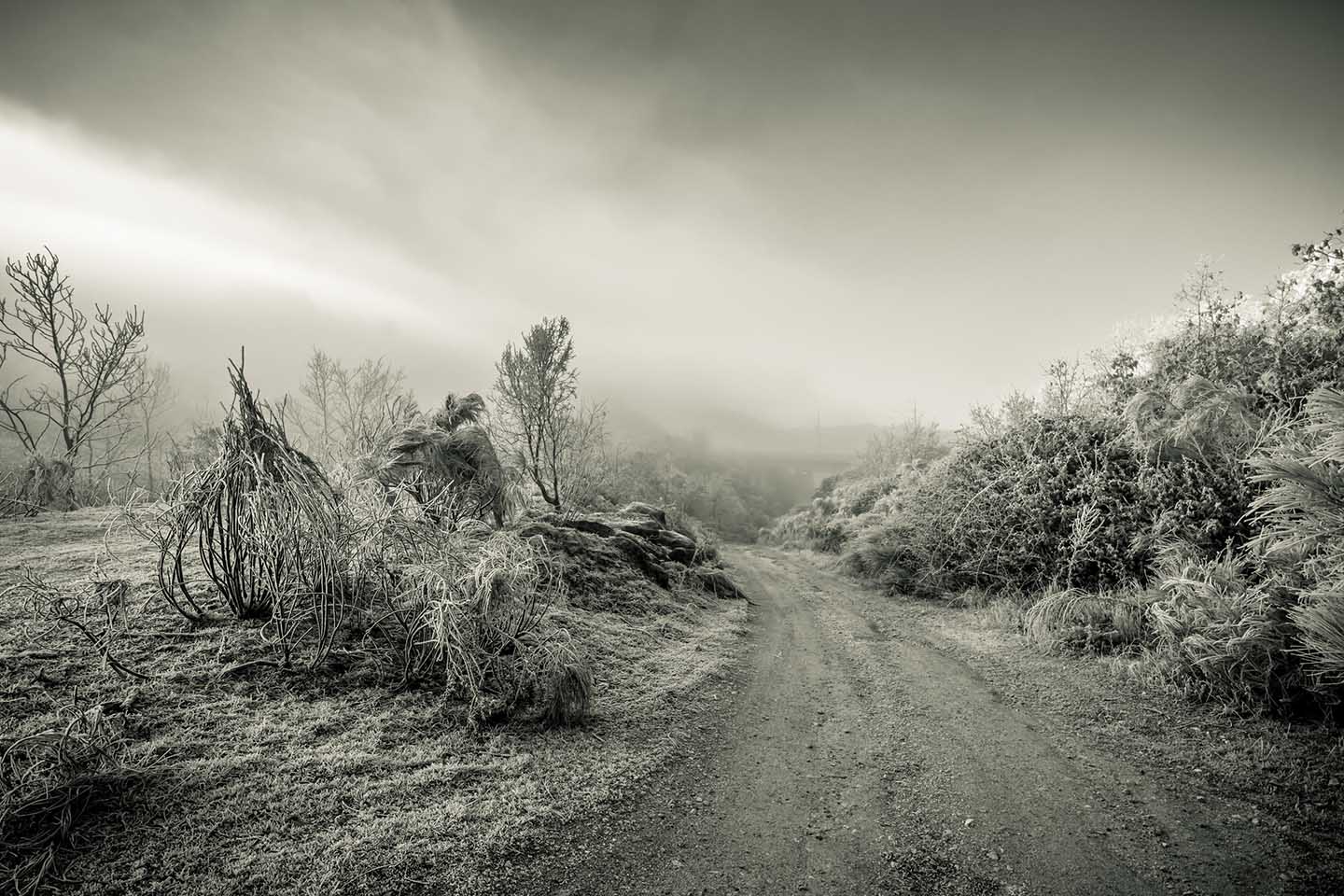 How to use leading lines to compose better photography - Camera Jabber