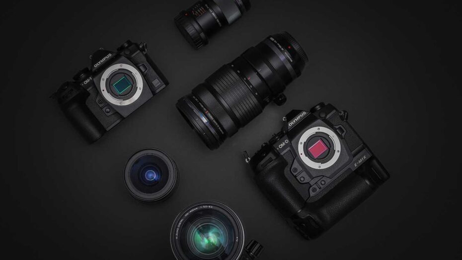 Inside A Professional Photographer’s Kit Bag: Tesni Ward, Wildlife ...