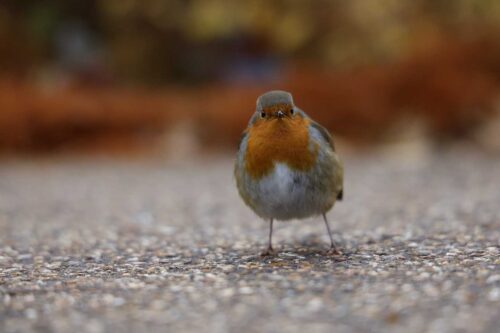 What is natural lighting in photography? – Camera Jabber