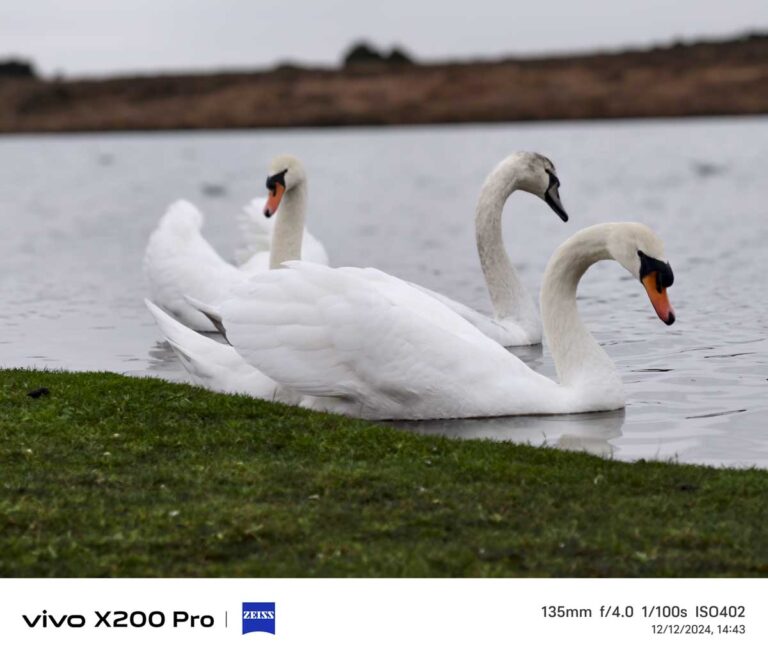 Vivo X200 Pro review – Camera Jabber