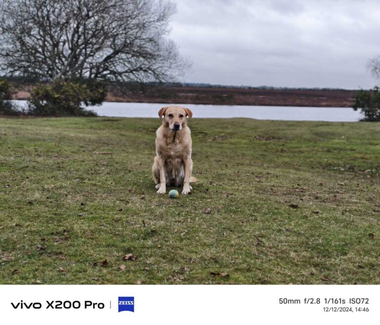 Vivo X200 Pro review – Camera Jabber