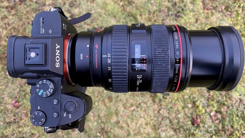 Photography for Beginners: essential techniques and best cameras ...