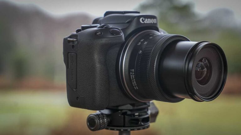 The Canon EOS R50 packs Canon’s class-leading autofocus and 4K video ...